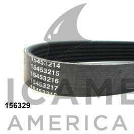 156329 EURO BELT/ALT - Ricambi America, Inc.