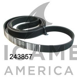243857 ALTERNATOR BELT (FF, GTC4LUSSO, LATE MASERATI) - Ricambi America ...